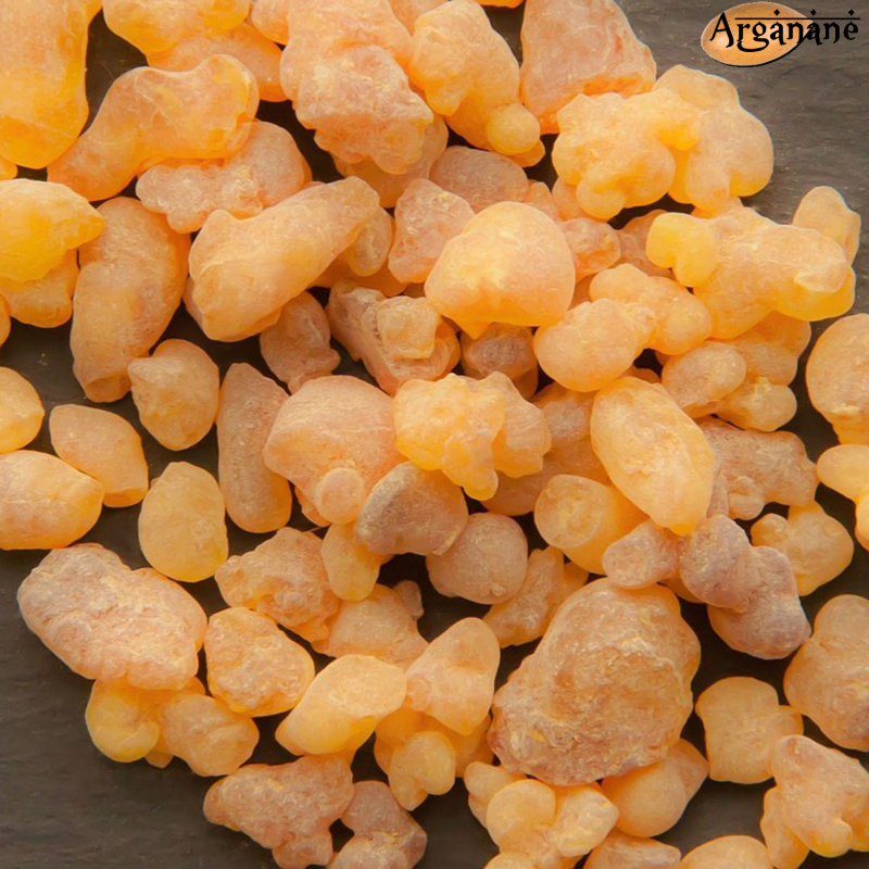 Encens Omanais Oliban (Louban dakar) - Nourcine Bio